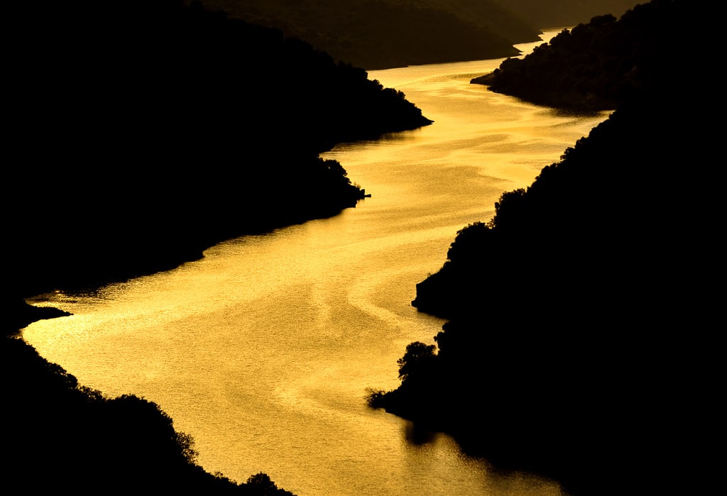 Como un río de oro y luz - La Casa de Gestalt - Zaragoza